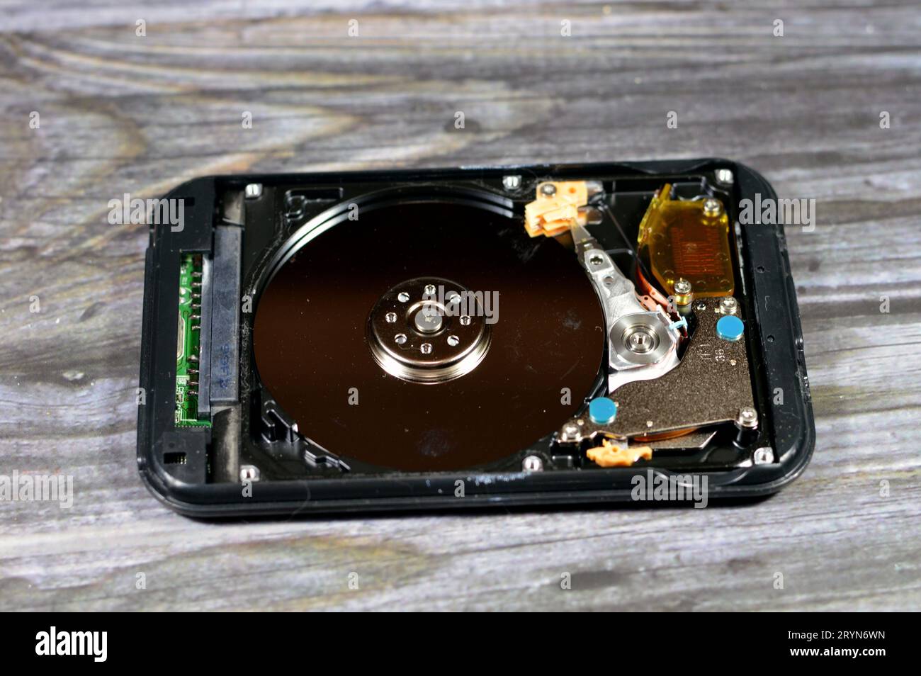 Hard to kill hi-res stock photography and images - Alamy