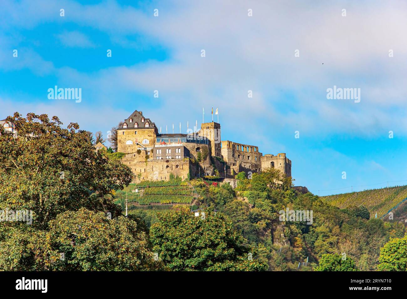 Warm autumn in Germany Stock Photo - Alamy