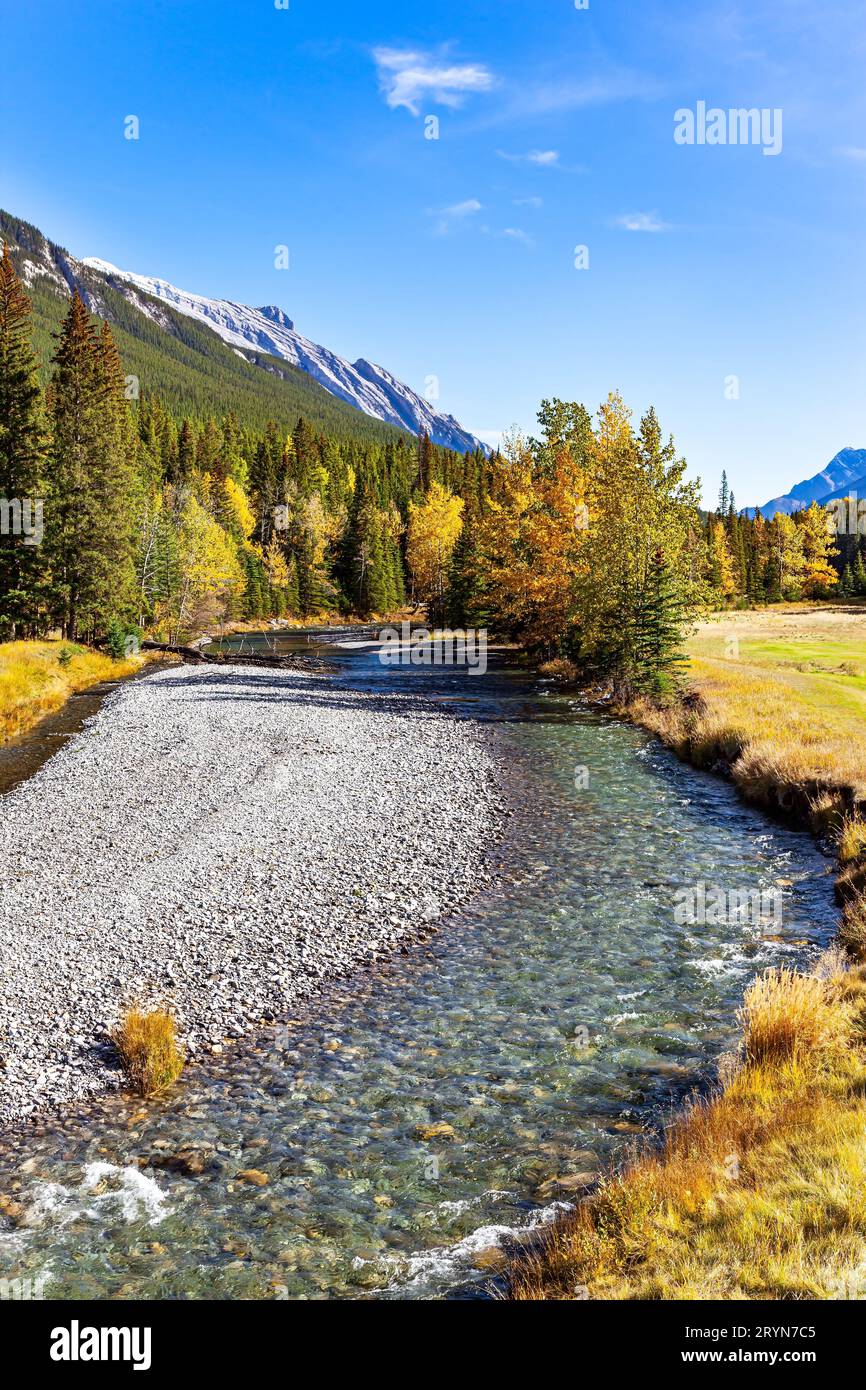Stream with a pebbly bottom Stock Photo - Alamy