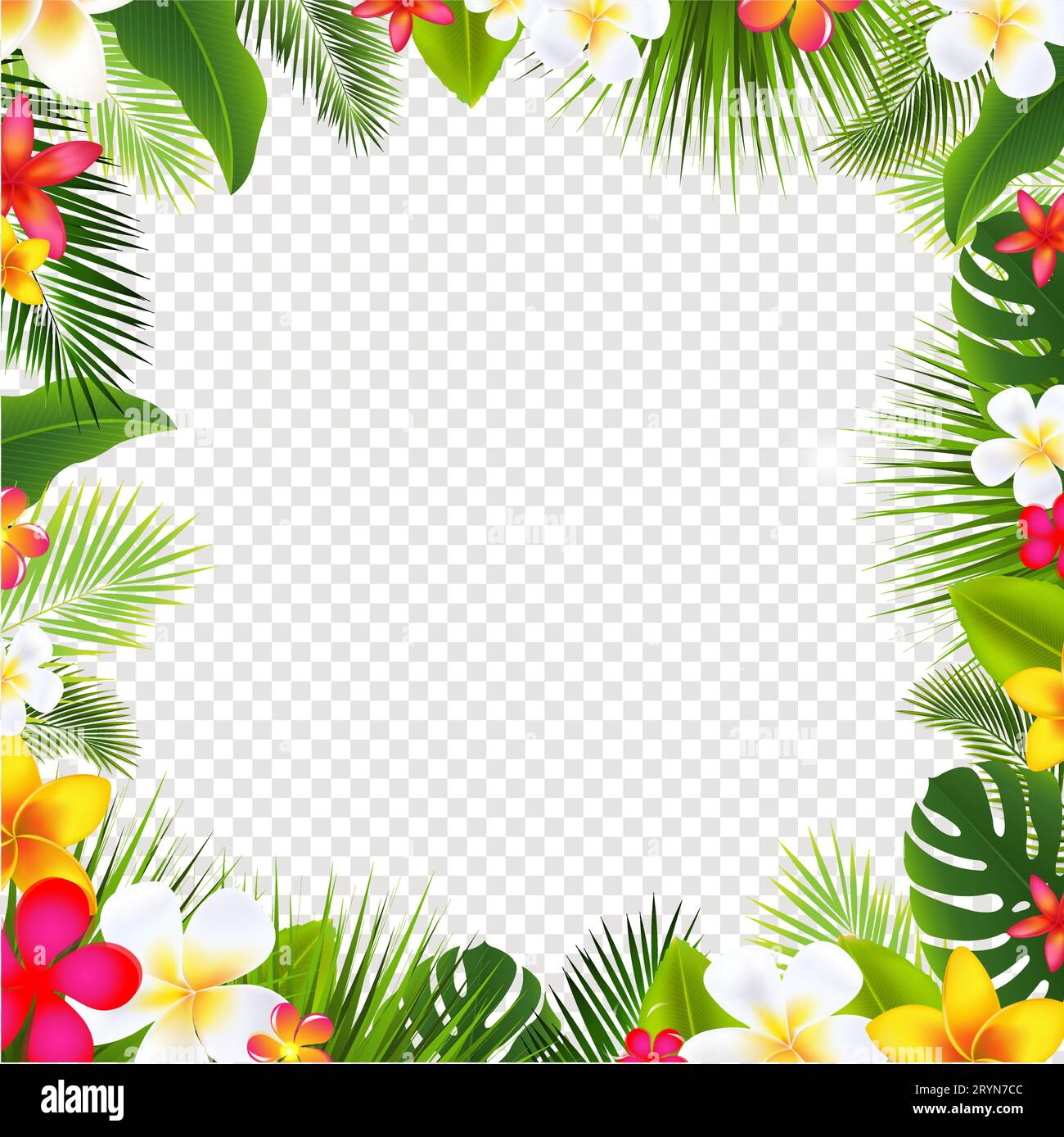 Decoration leaves floral object garden plumeria to vector vectors hi ...