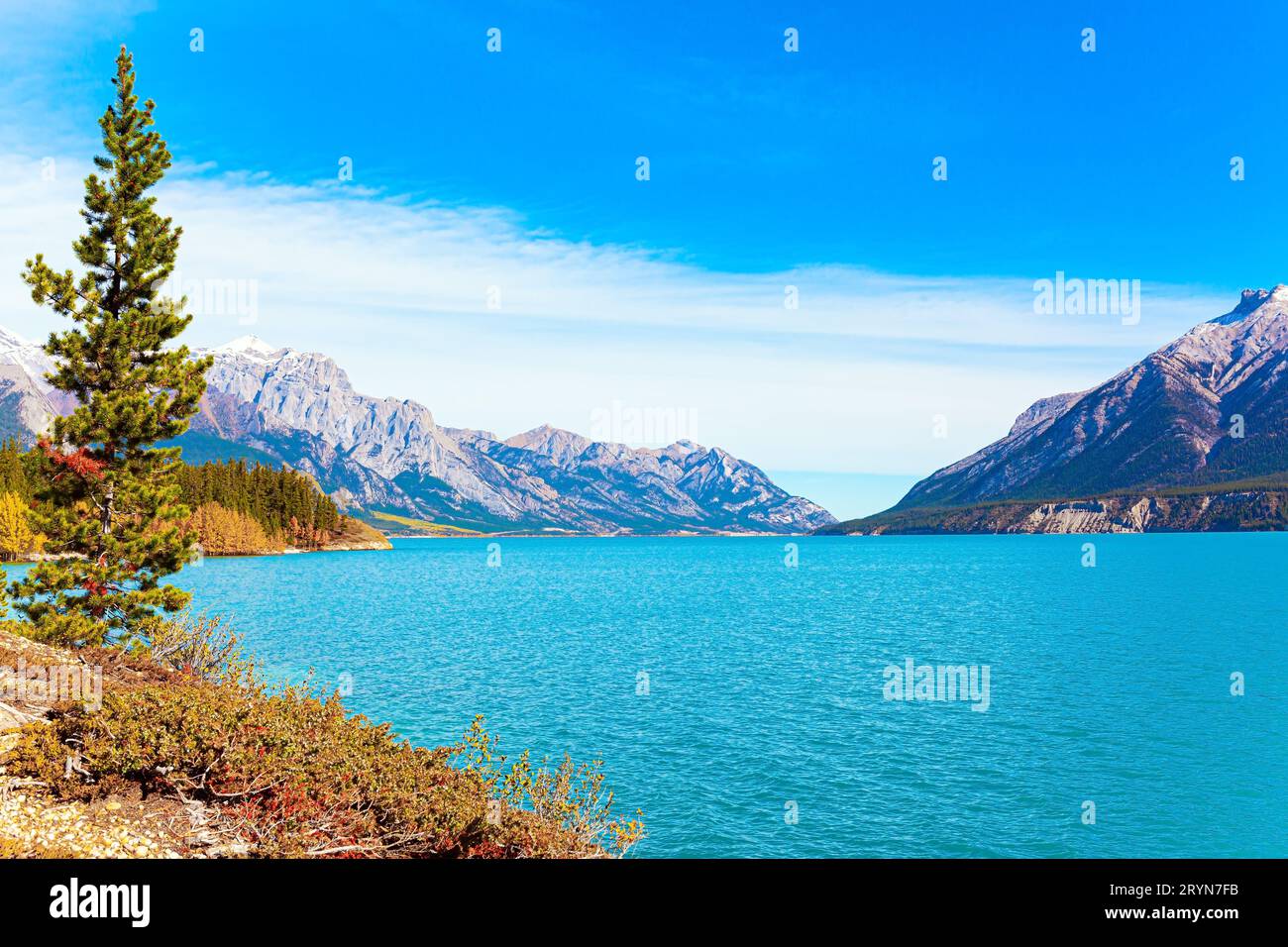 The Abraham Lake with blue water Stock Photo - Alamy