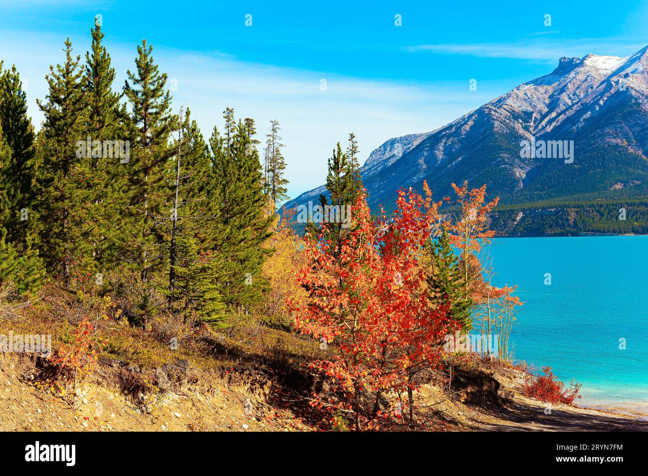 Abraham Lake with blue water Stock Photo - Alamy