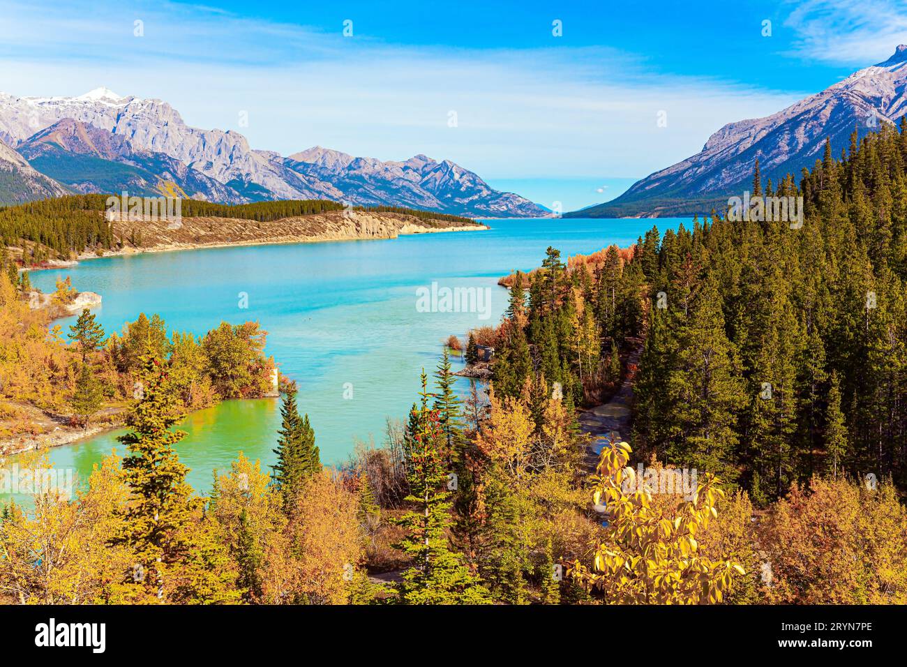 Color gorgeous hi-res stock photography and images - Alamy