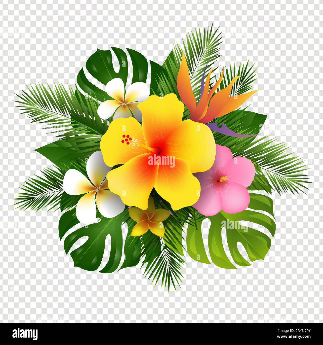 Lush palms Stock Vector Images - Alamy