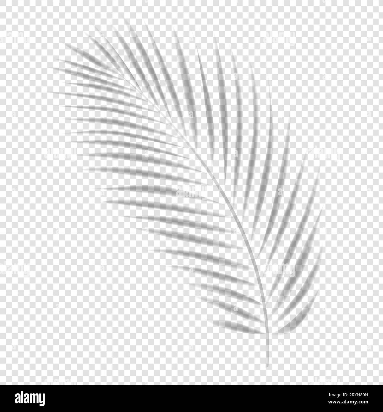 Bush shadow Stock Vector Images - Alamy