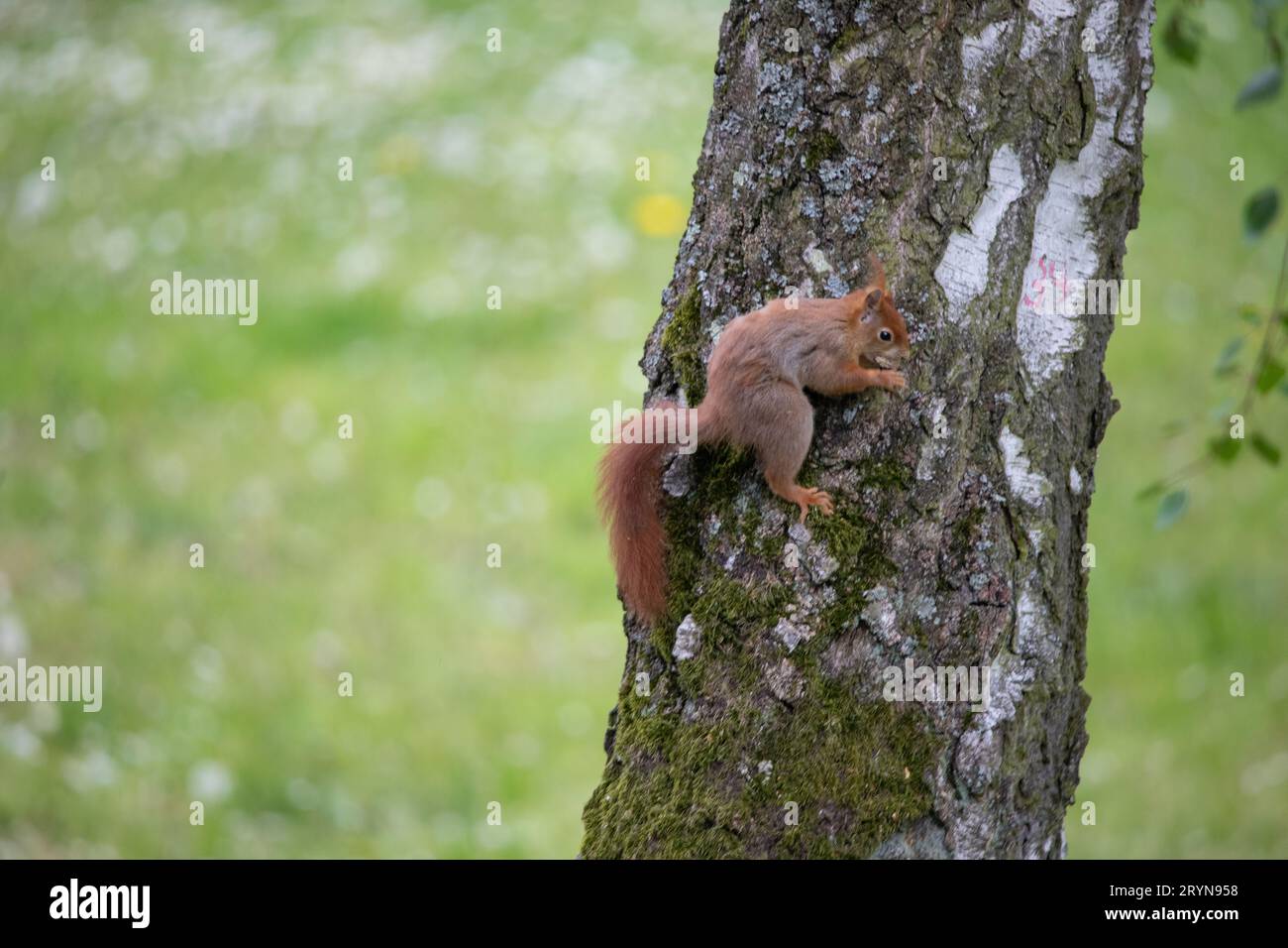 Exploring in nature hi-res stock photography and images - Alamy