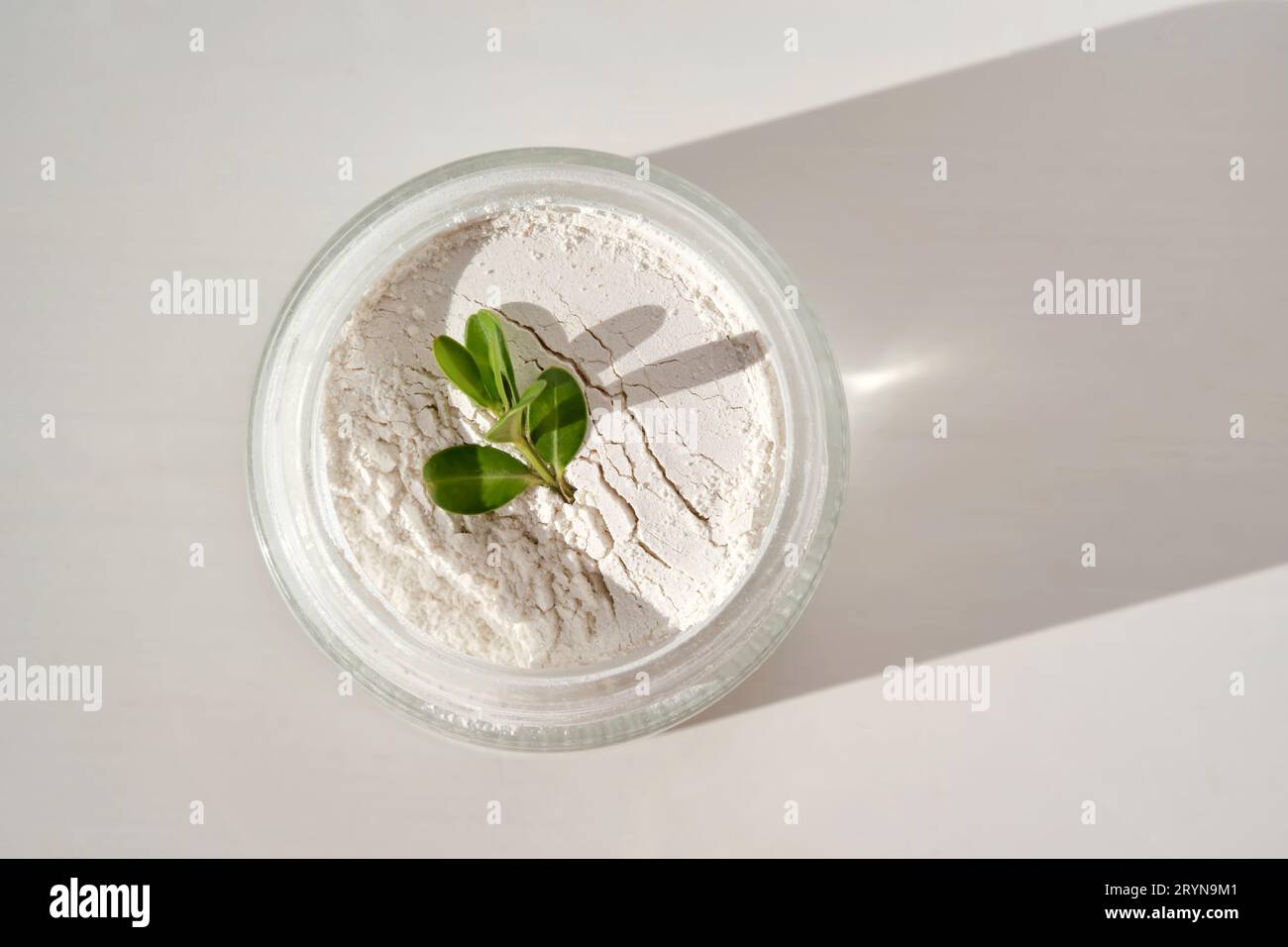 An open jar of facial scrub powder with a green sprig Stock Photo - Alamy