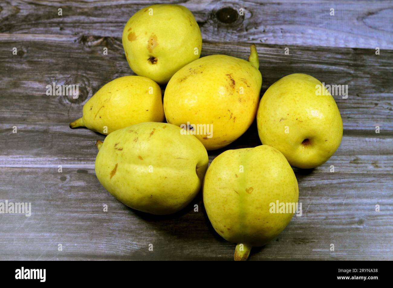 Fresh pears fruits, The pear tree and shrub are a species of genus ...