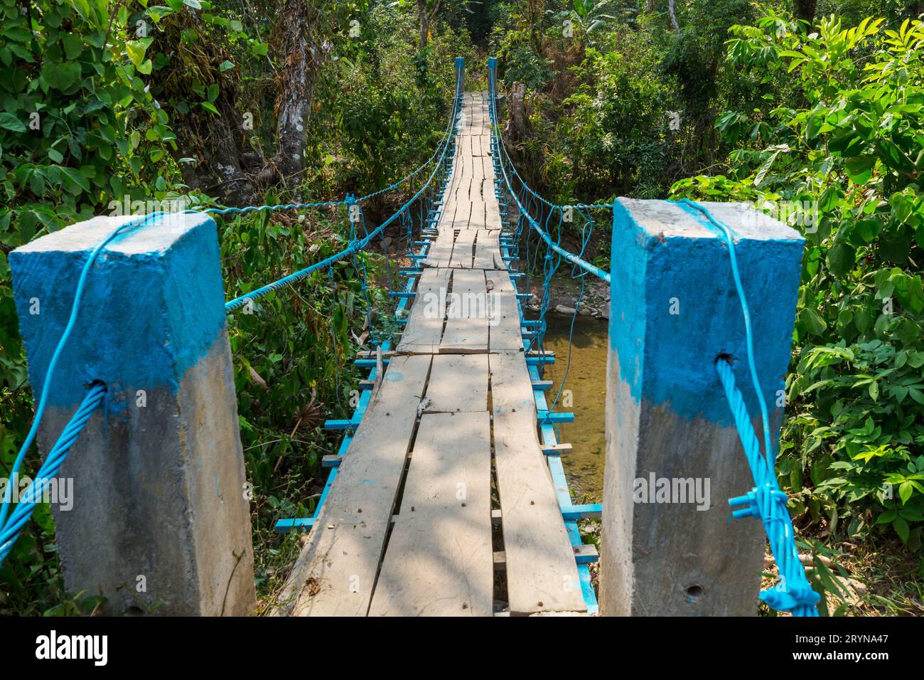 Bridge in jungle Stock Photo - Alamy