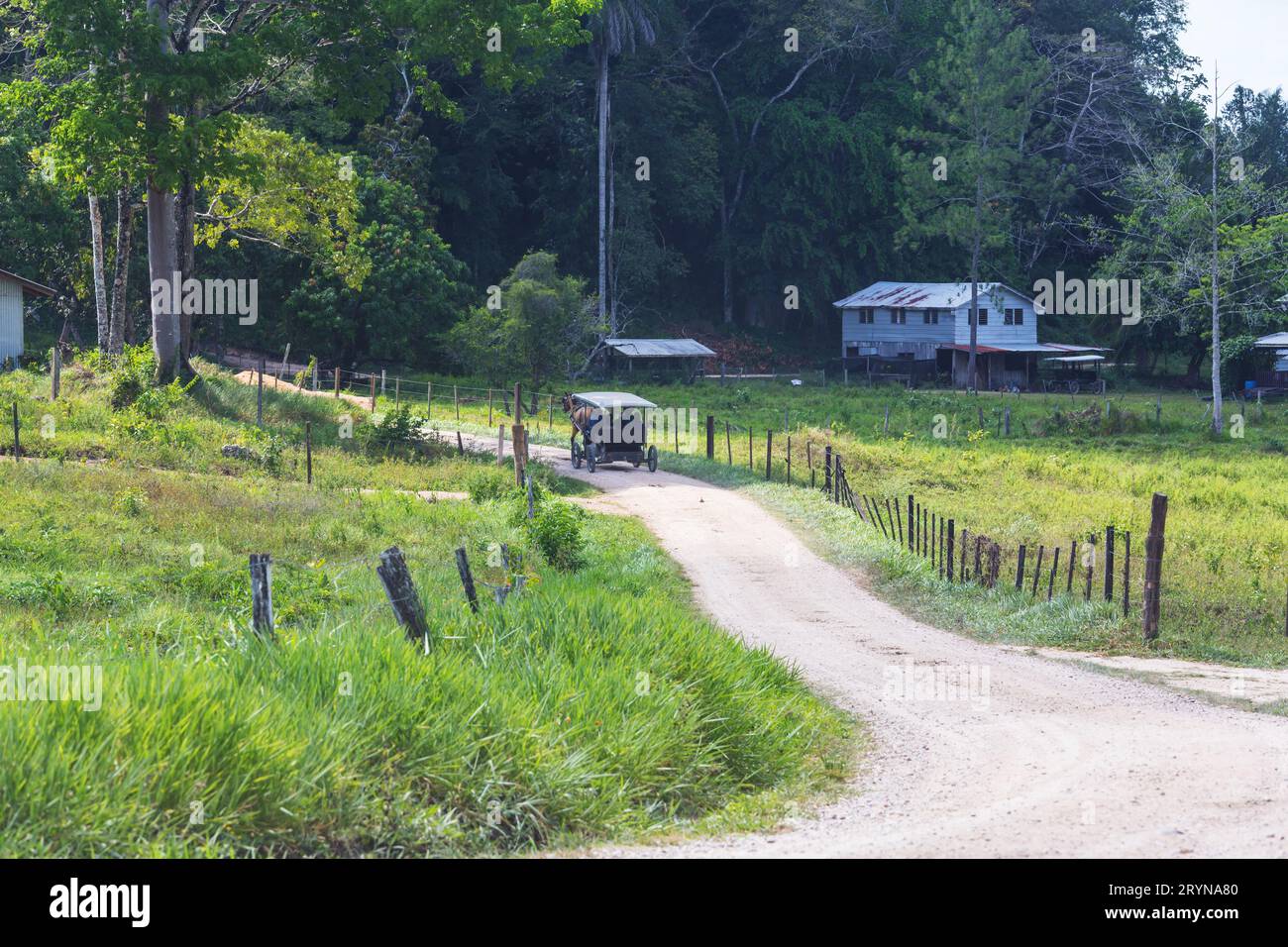 Road in Belize Stock Photo - Alamy
