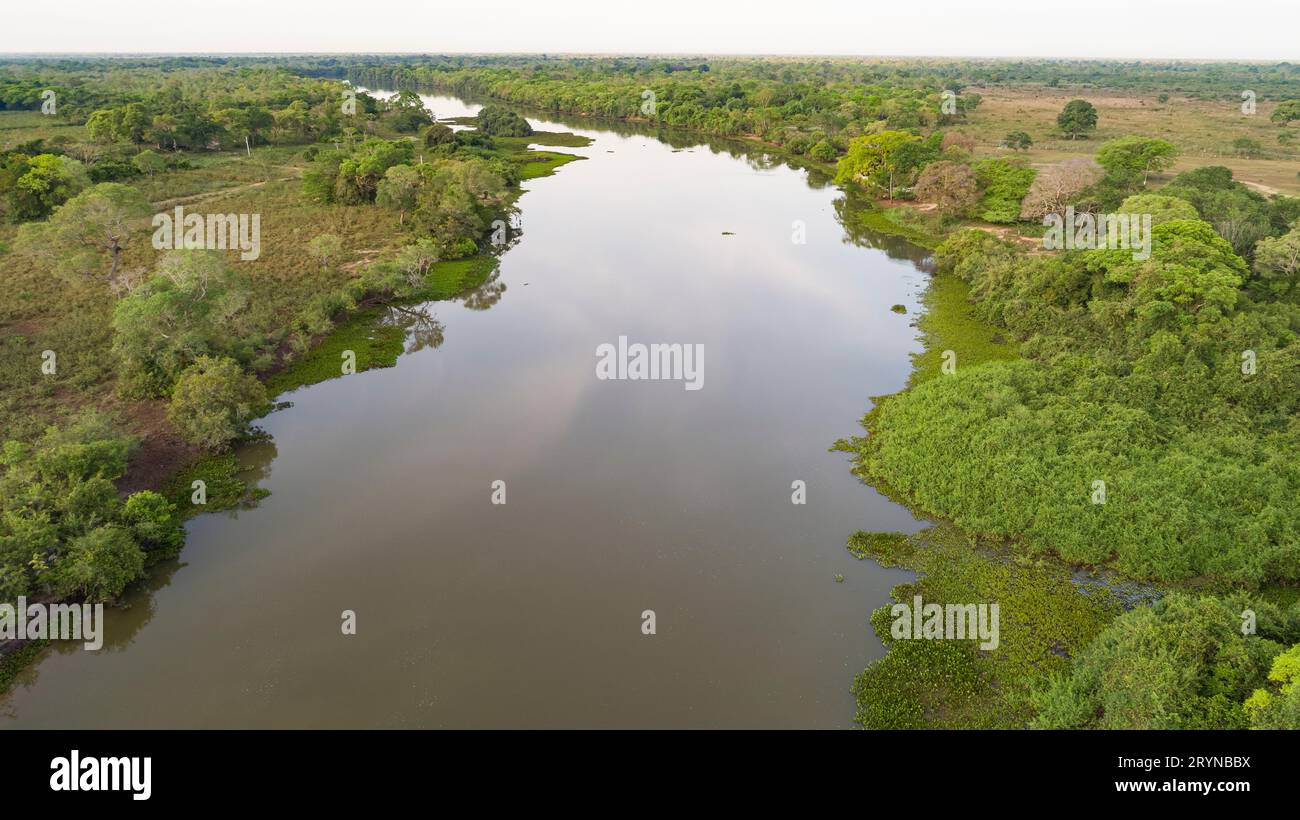 Ariel view of a typical Pantanal river with meadow, lagoon and dense ...