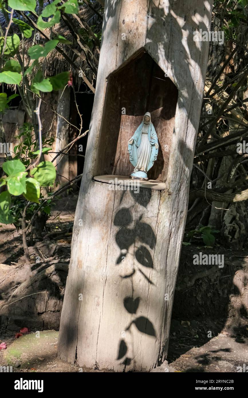 Madonna-Statue standing in a carved niche of a tree stump, Pantanal ...