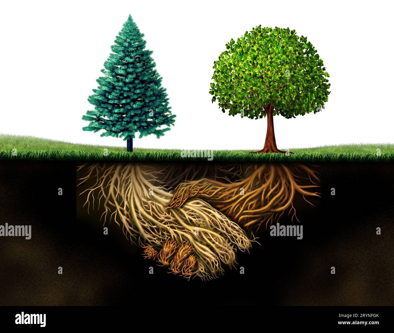 Strong Friendship Symbol as a trust metaphor of friends shaking hands ...