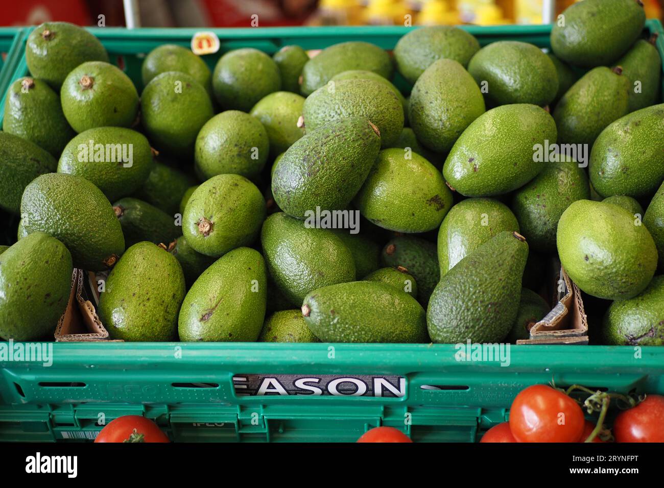 many avocado display for sale at local store Stock Photo - Alamy
