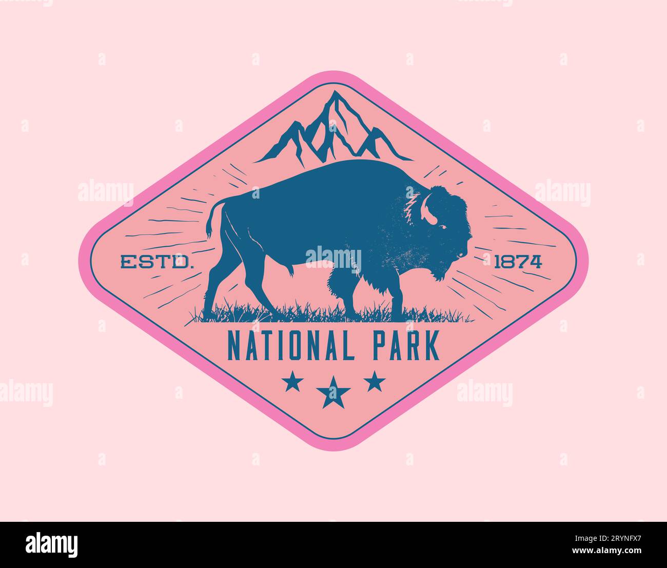 Vintage retro wildlife badge or label design template with bison or ...