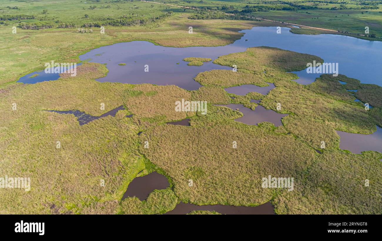Aerial view of typical Pantanal landscape with lagoons, rivers, meadows ...
