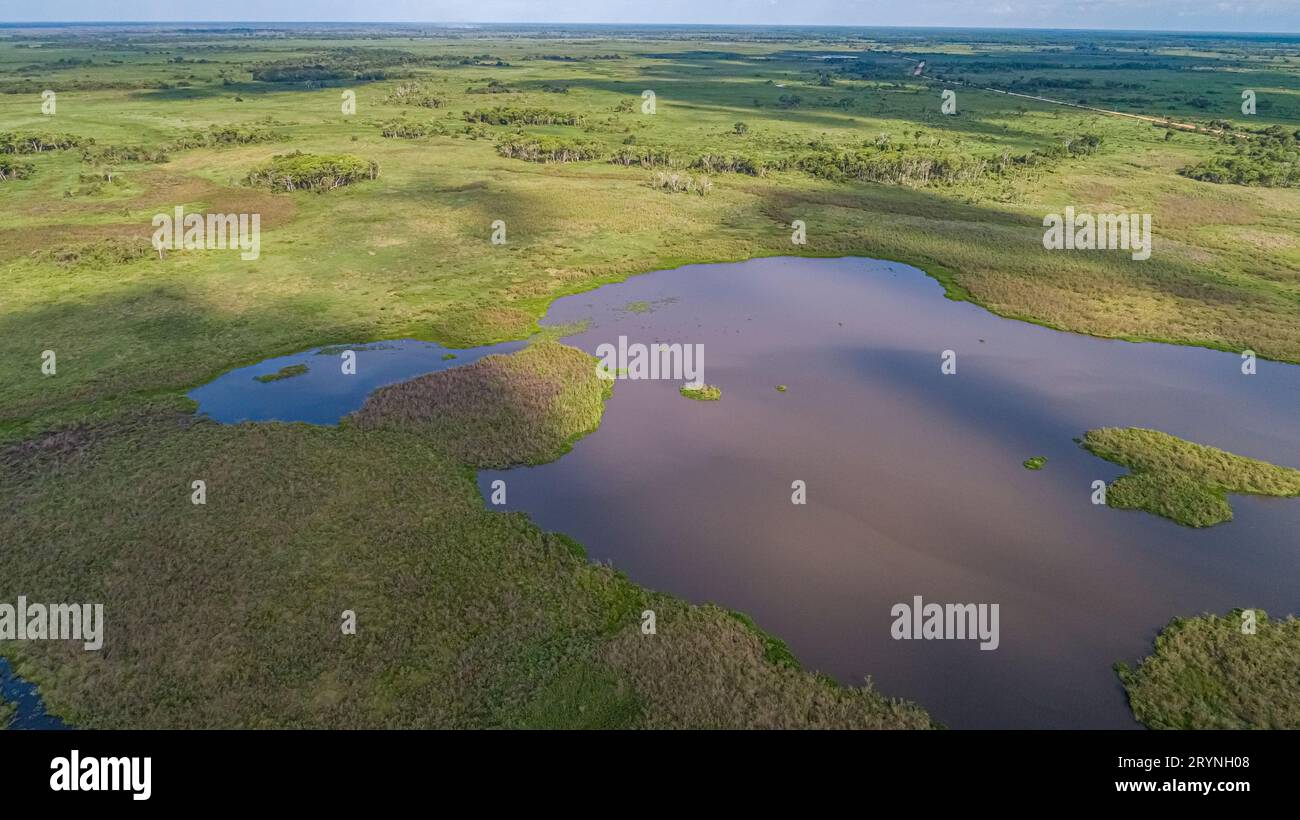 Aerial view of typical Pantanal landscape with lagoons, rivers, meadows ...