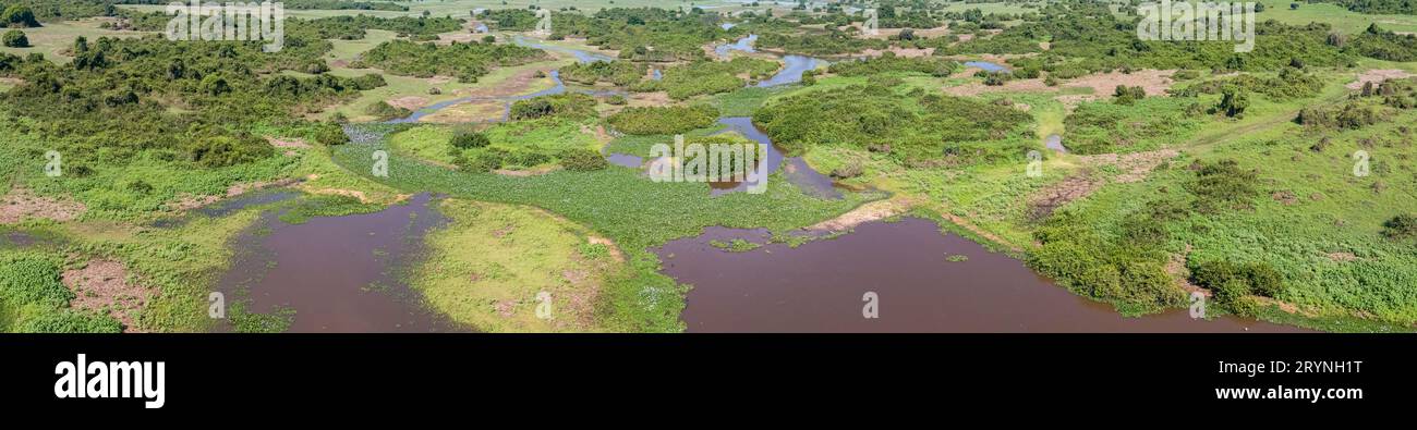 Aerial shot panorama of typical Pantanal Wetlands landscape with ...