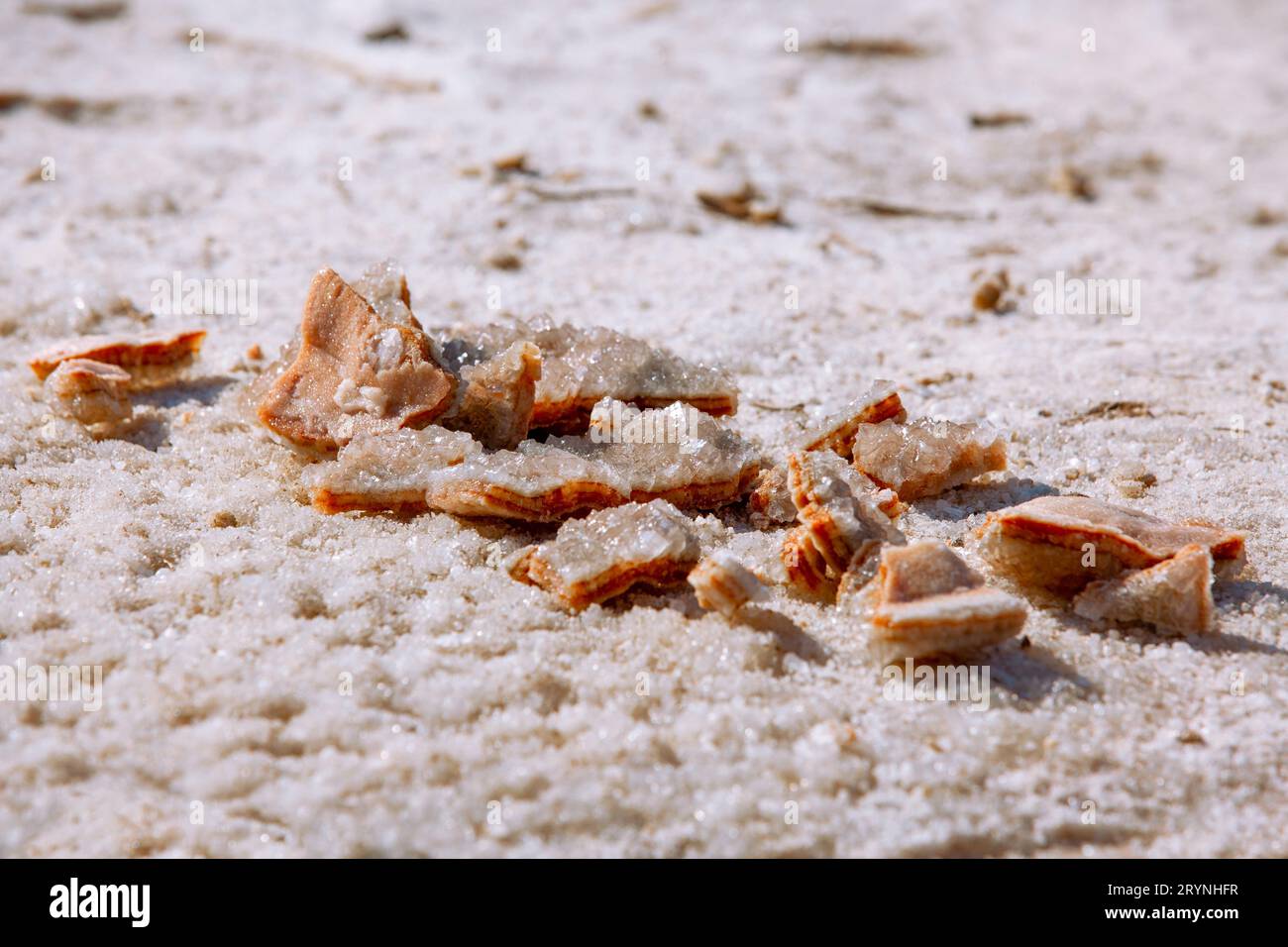 Close up Dead Sea salt mineral formations, Jordan Stock Photo - Alamy