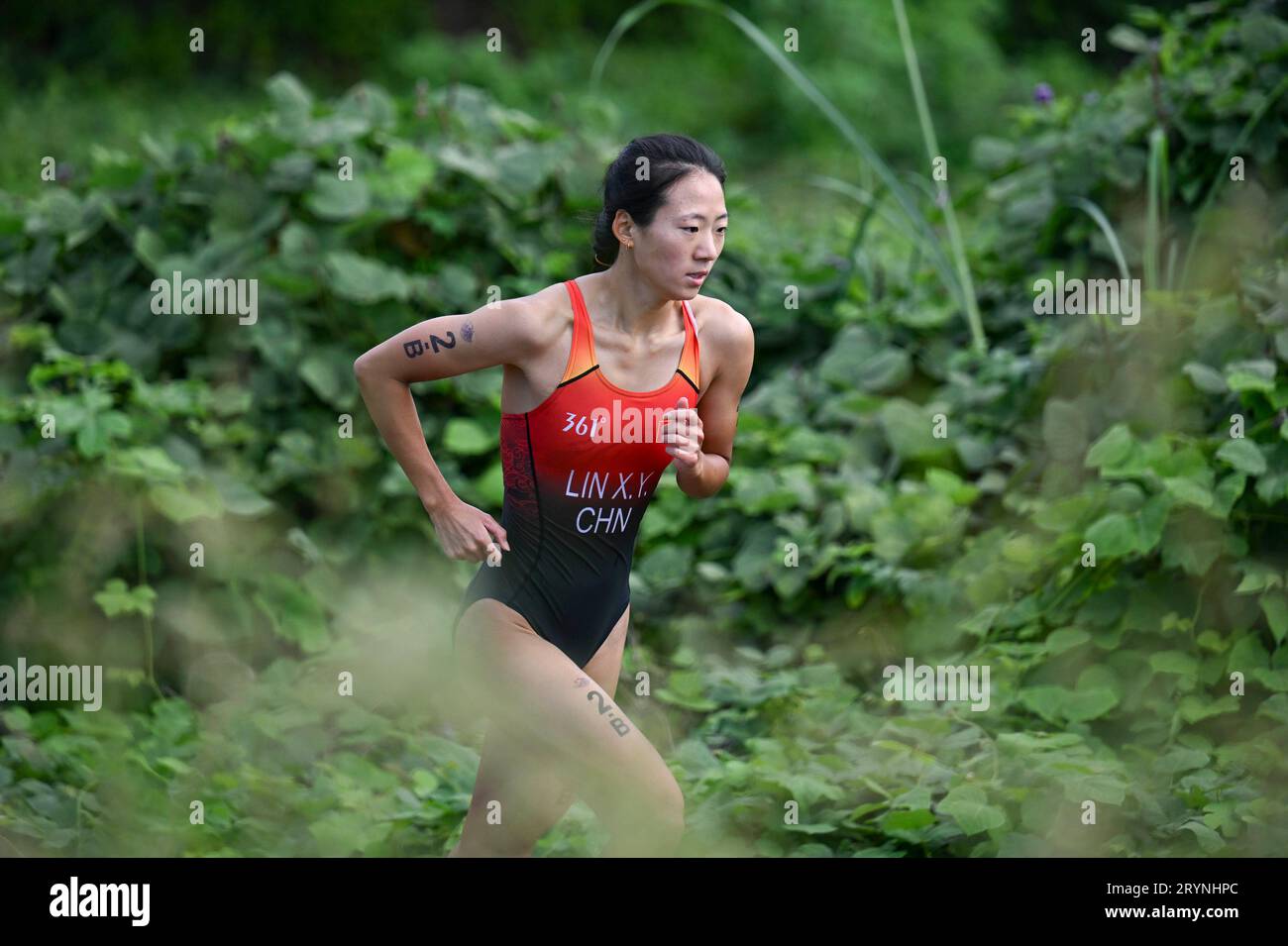 Xinyu hu hi-res stock photography and images - Alamy