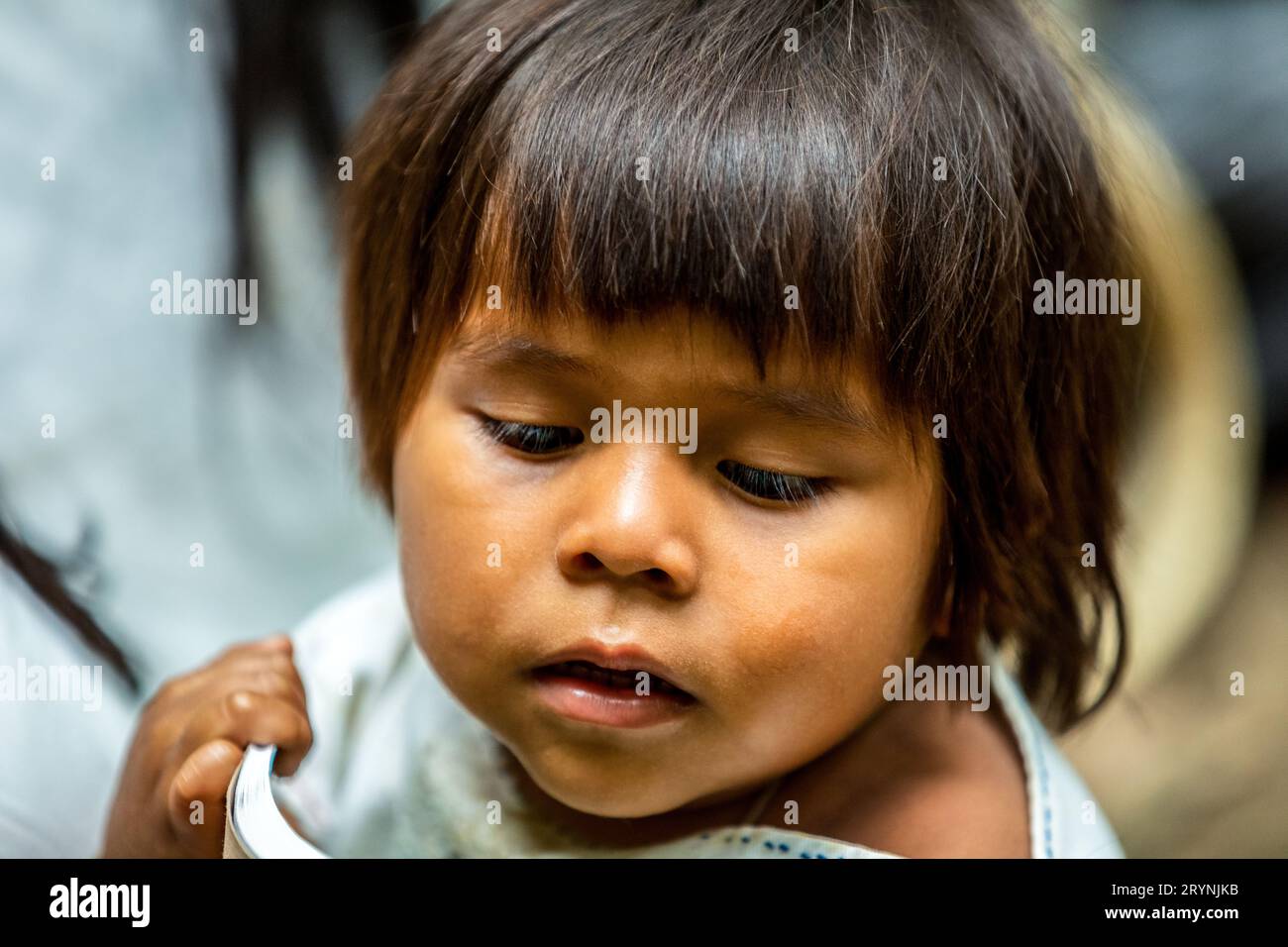 Kogi hi-res stock photography and images - Alamy