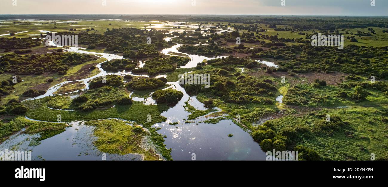 Panoramic aerial view at sunset of typical Pantanal Wetlands landscape ...