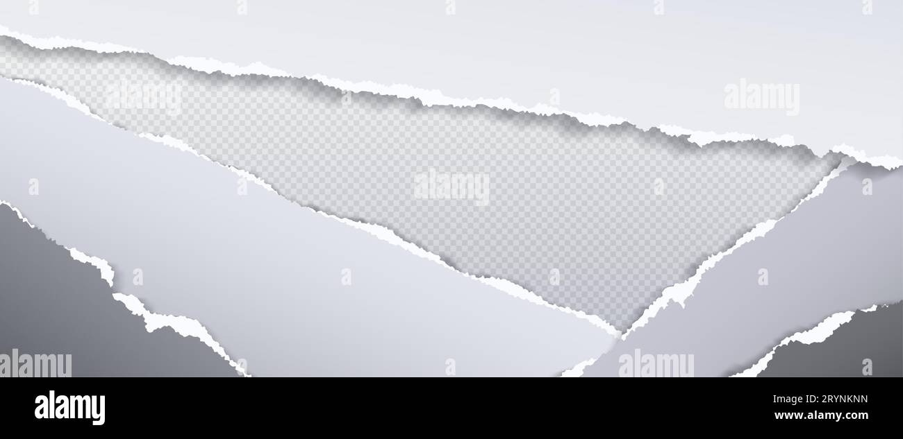 Torn paper edge texture vector background. Blank rip border banner ...