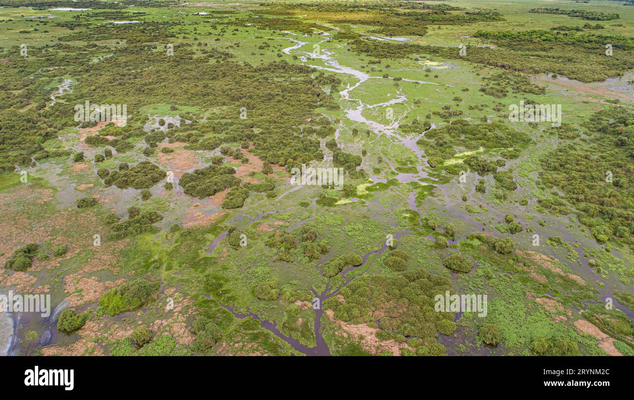 Aerial shot of typical Pantanal Wetlands landscape with lagoons ...