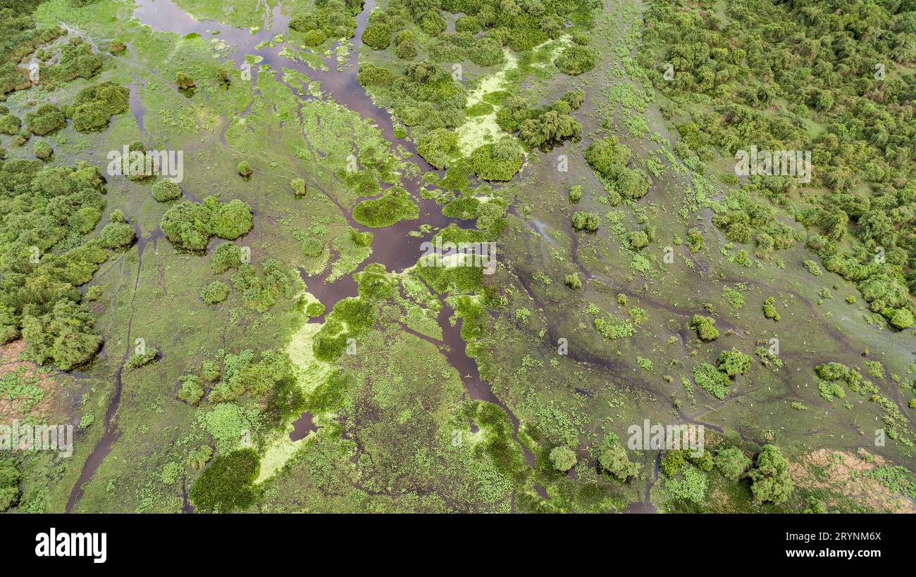 Mato gross cerrado hi-res stock photography and images - Alamy