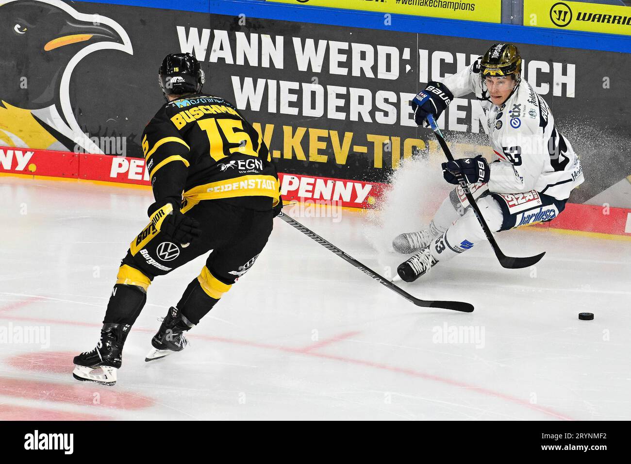 Eishockey - DEL 2: Krefeld Pinguine vs Dresdner Eislöwen m 01.10.2023 ...