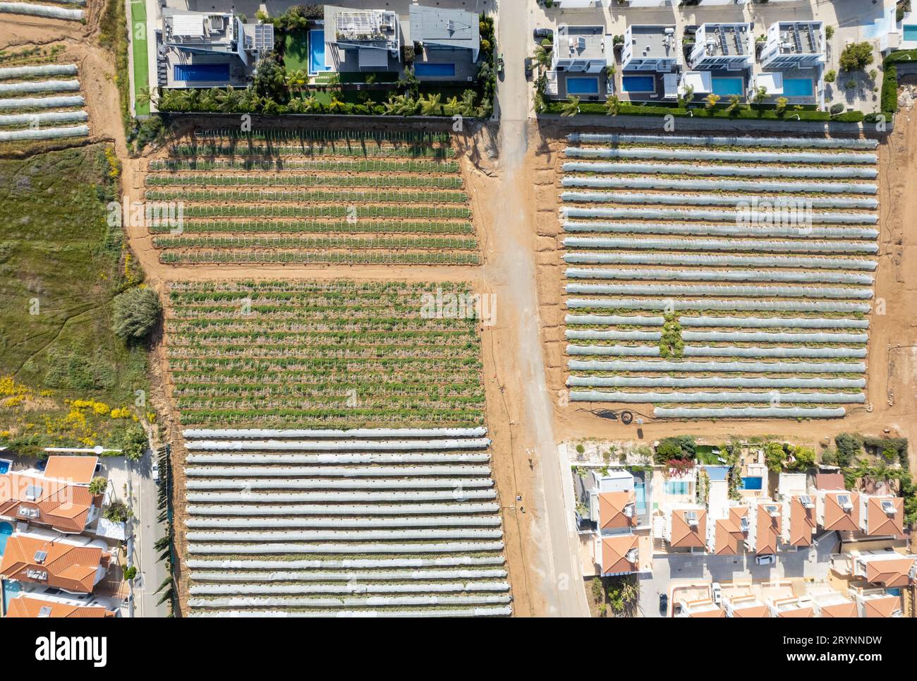 Aerial drone view of greenhouses in a row, and holiday houses. Food ...