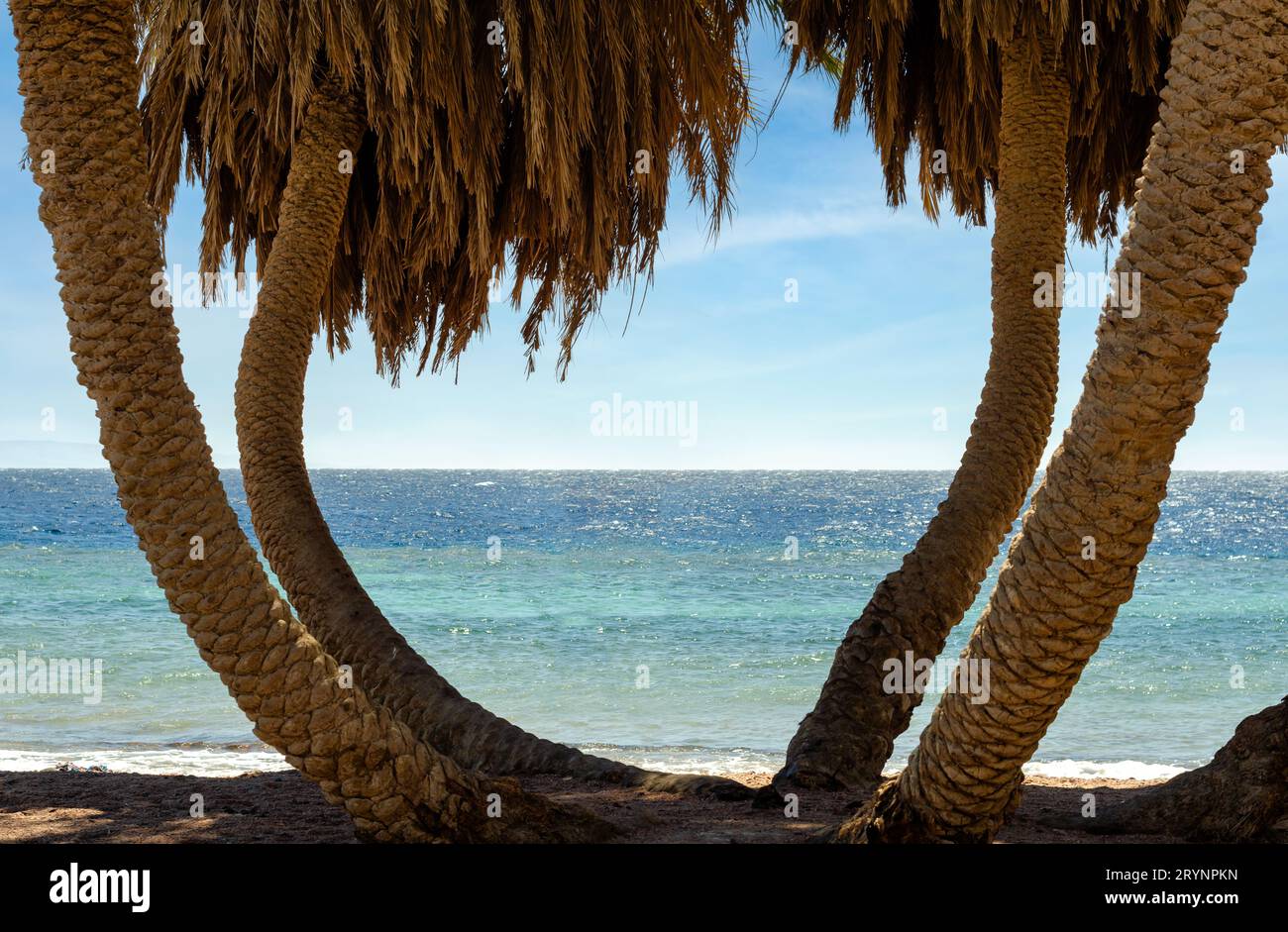 Season in egypt hi-res stock photography and images - Alamy