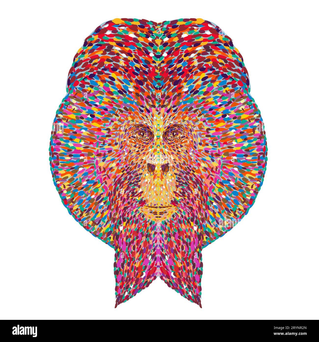 Bornean orangutan Cut Out Stock Images & Pictures - Alamy