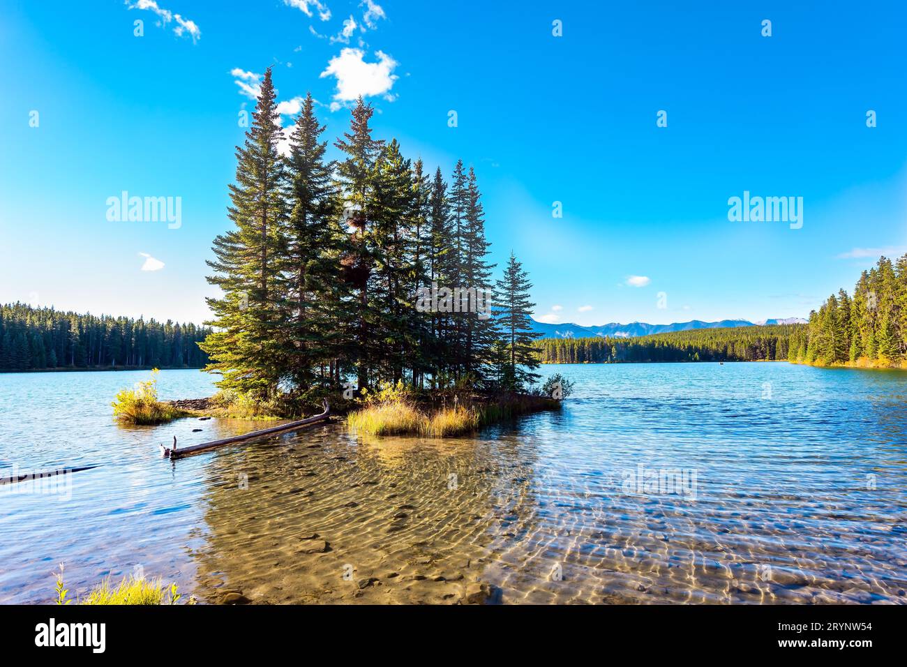 Two Jack Lake Stock Photo - Alamy