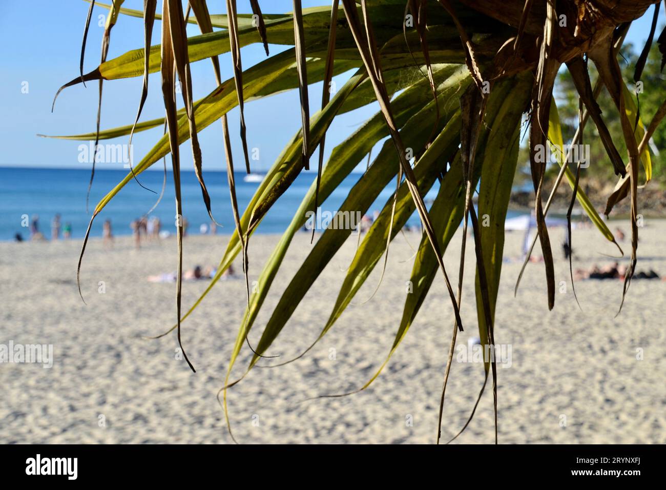 World famous Hastings Street beach in Noosa Queensland as viewed ...