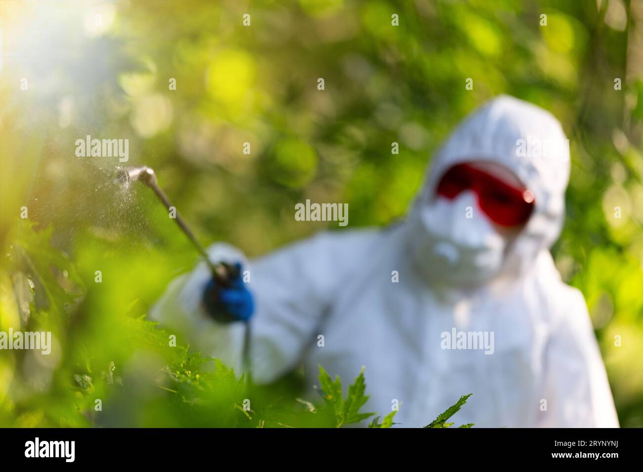 Person spraying pesticide in park hi-res stock photography and images ...