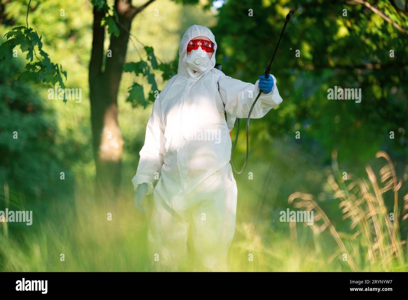 A worker sprays pesticides in an open park on the lawn. Pest control ...