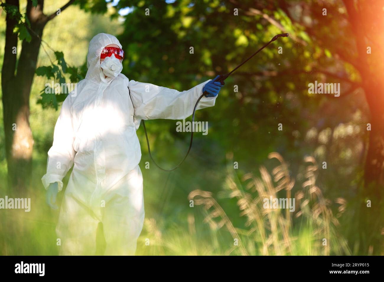 A worker sprays pesticides in an open park on the lawn. Pest control ...