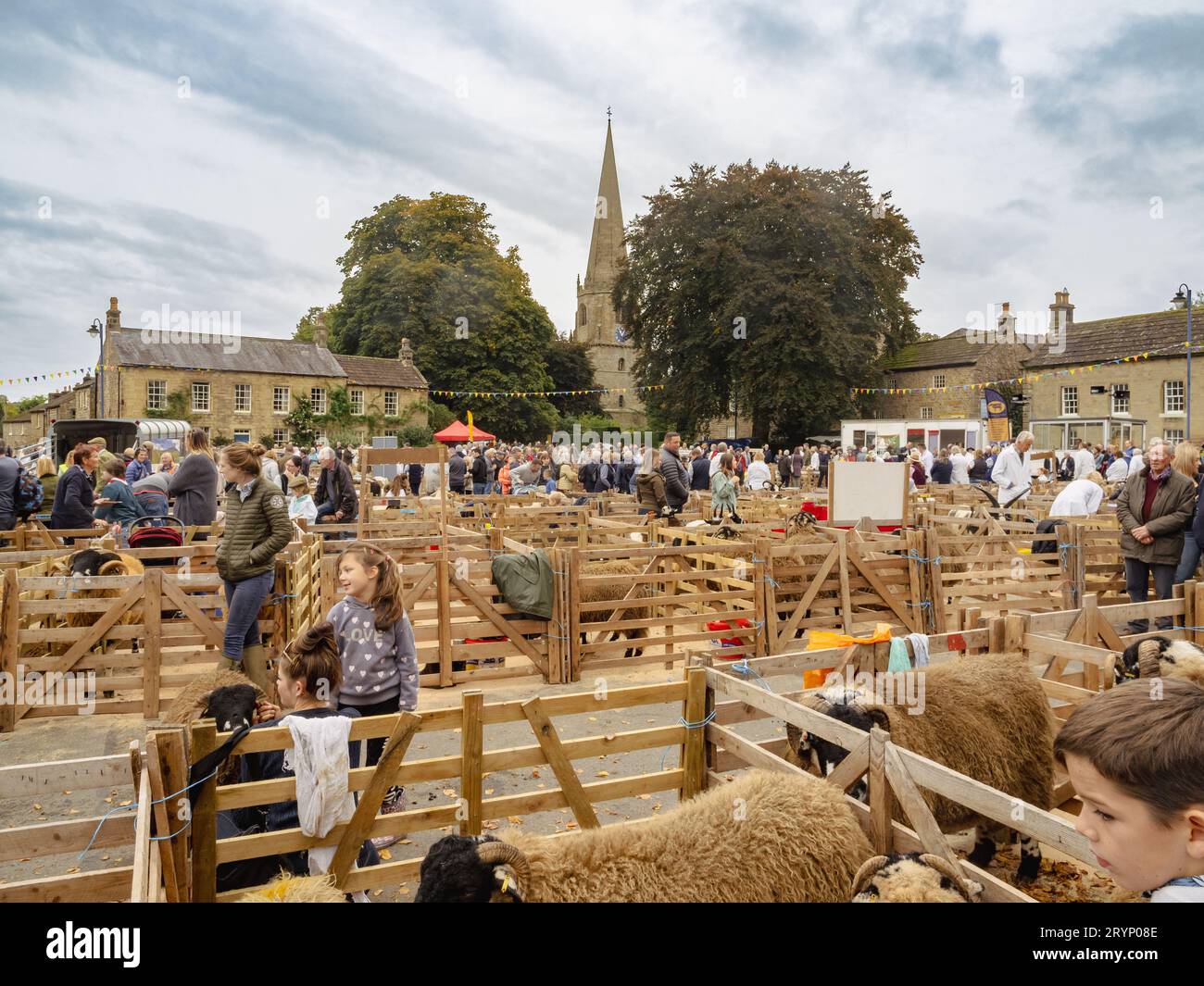Sheep in pens at Masham Sheep Fair Stock Photo - Alamy