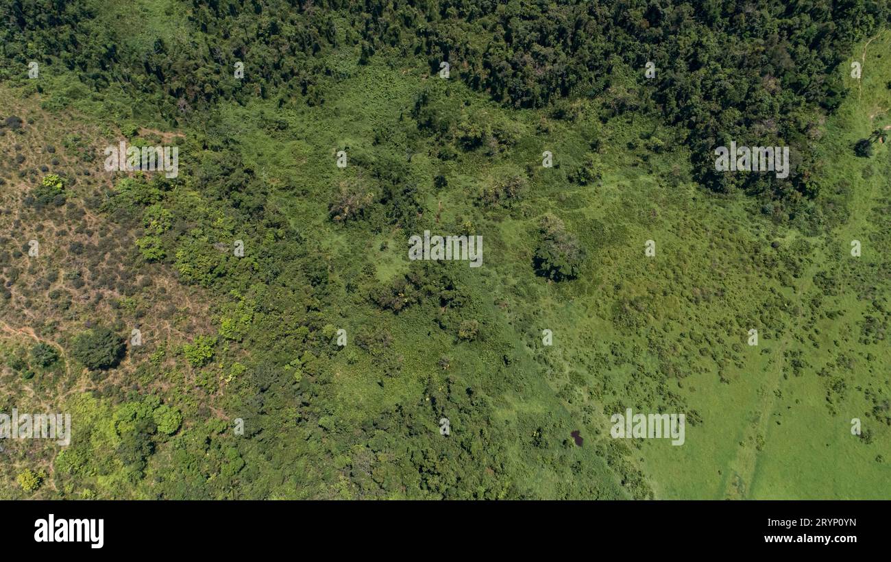Aerial view to cleared pasture land and rests of Atlantic forest in the ...