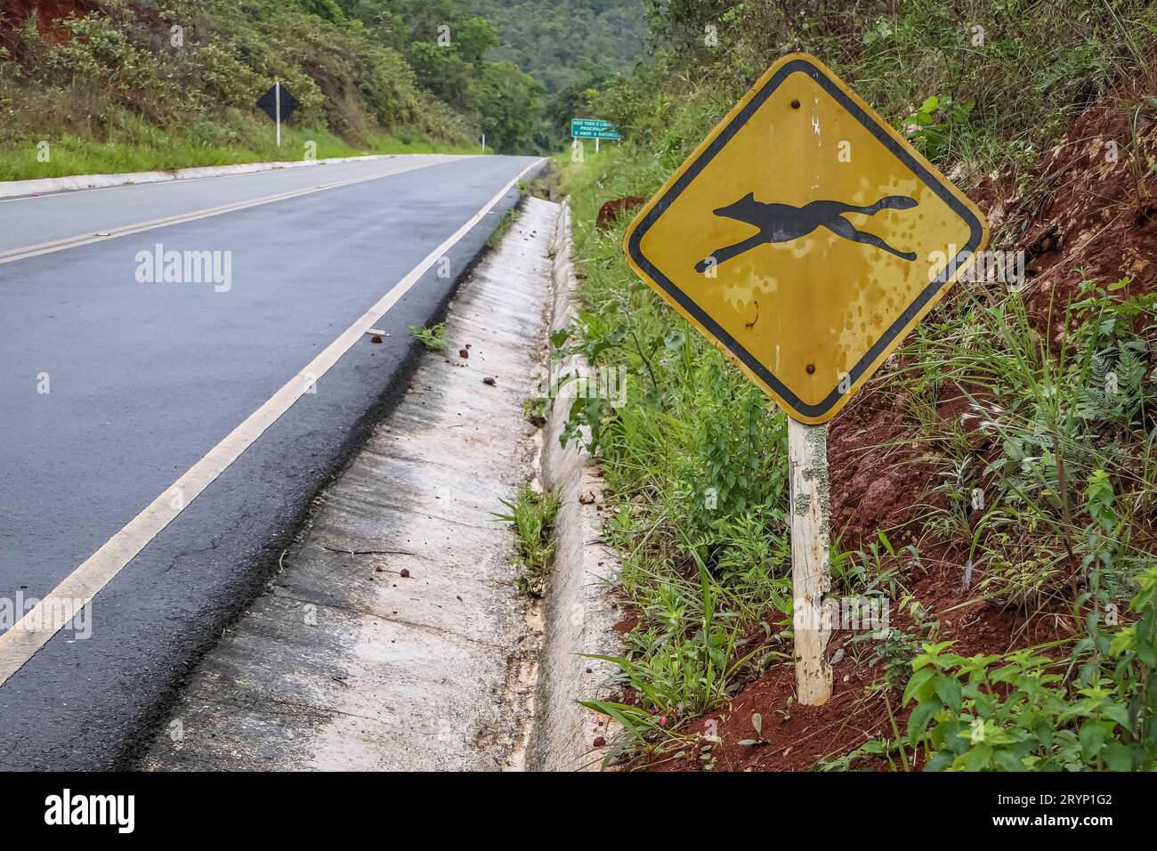 Road sign attention crossing maned wolf, CaraÃ§a Natural Park, Minas ...