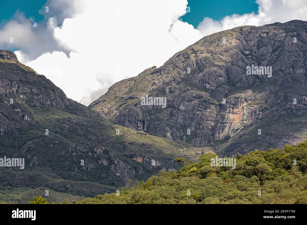 Caracas natural park hi-res stock photography and images - Alamy