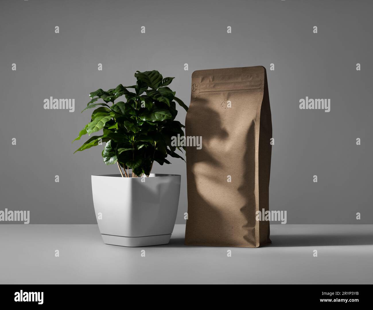 Mockup of coffee packaging made of kraft paper. Zip bag template next ...