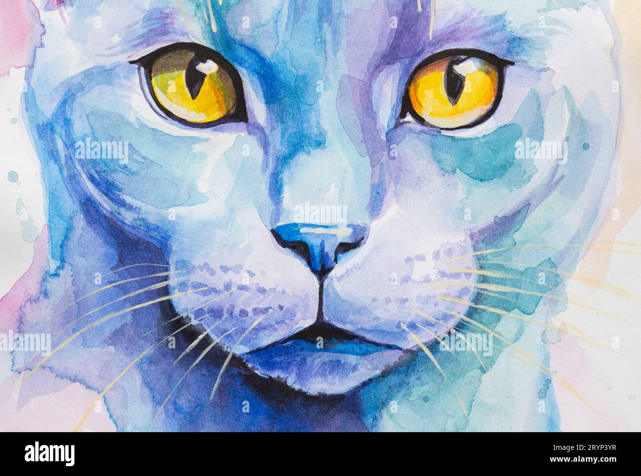 Russian Blue Cat painted in watercolor on a white background in a ...