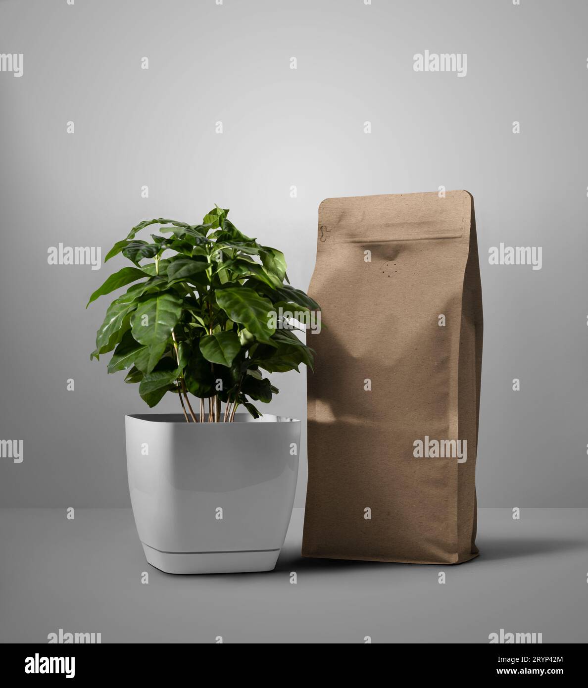 Mockup of coffee packaging made of kraft paper. Pouch bag template next ...