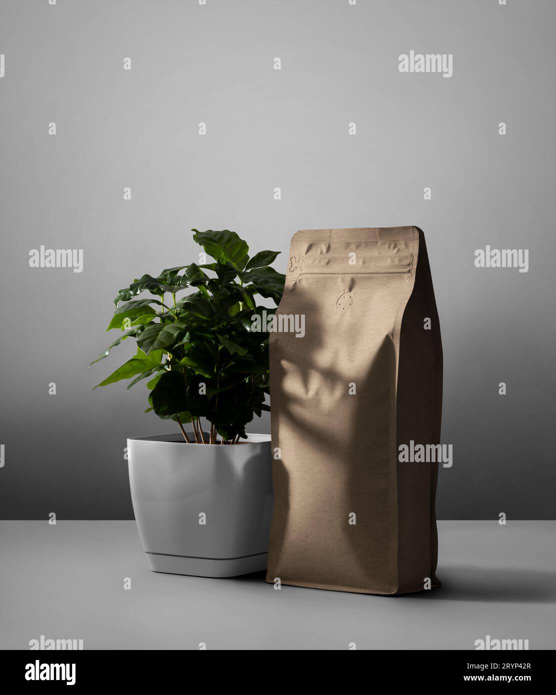 Mockup of coffee pouch packaging made of kraft paper. Zip bag template ...