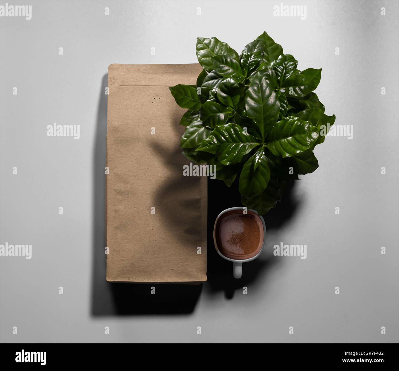 Mockup of coffee packaging made of kraft paper for design presentation ...
