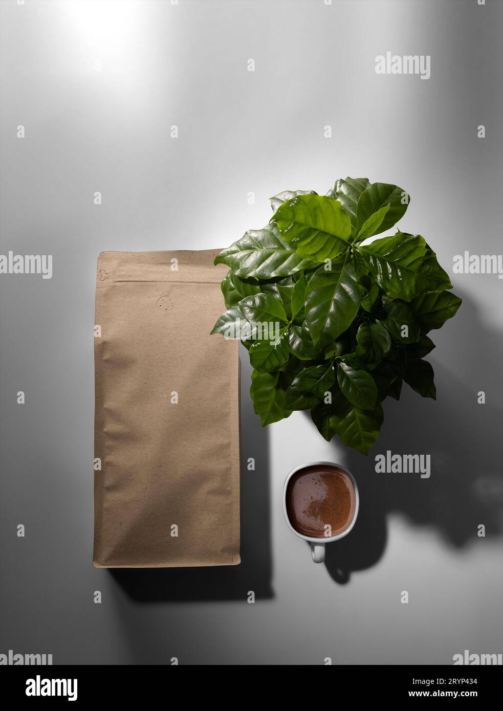 Kraft paper coffee packaging zip mockup for design presentation ...