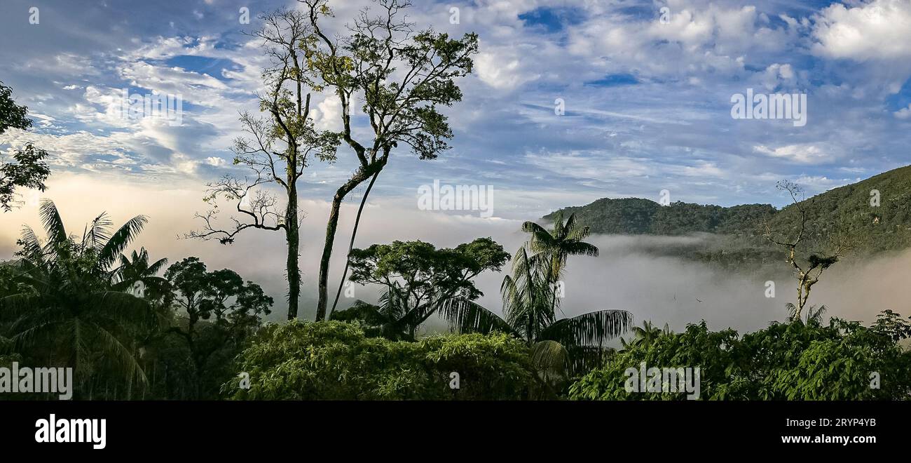 Atlantic forest mountains, valley covered with fog and blue sky with ...