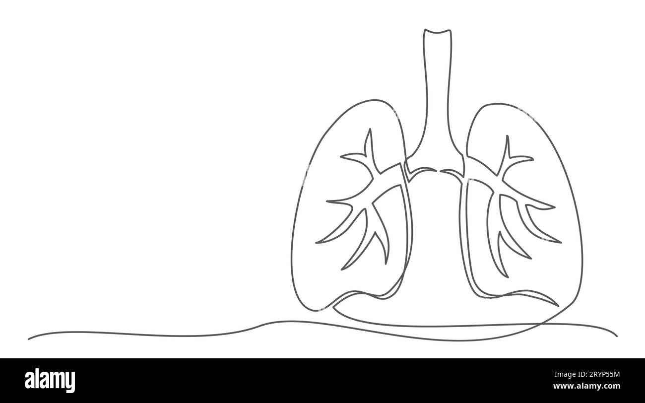 Lungs One line drawing isolated on white background Stock Vector Image ...